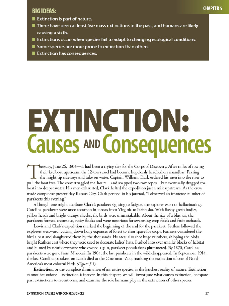 Chapter 5 Textbook | PDF | Extinction | Volcano