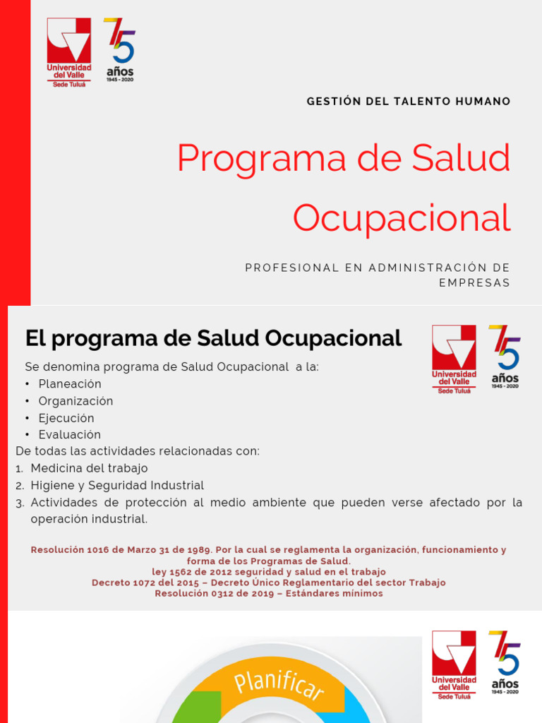Programa de Salud Ocupacional | PDF | Seguridad y salud ocupacional ...