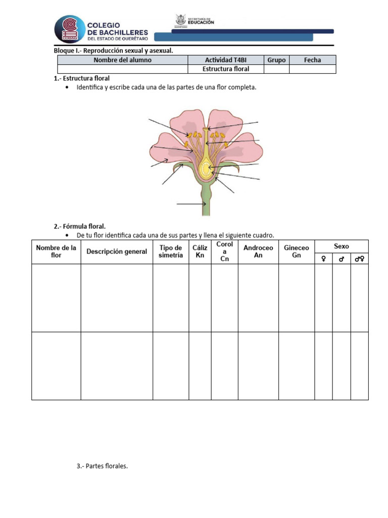 Bloque I. Práctica Floral - Formato | PDF | Artes del Lenguaje y ...