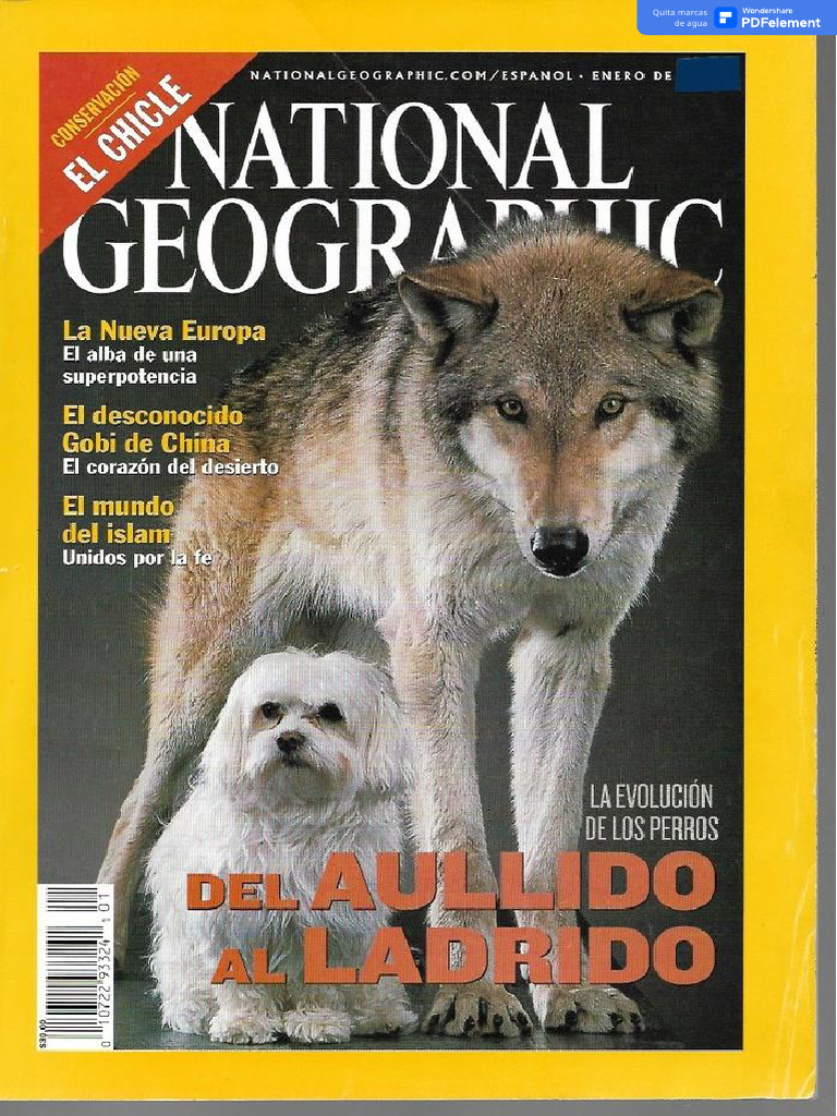 Del Aullido Al Ladrido | PDF