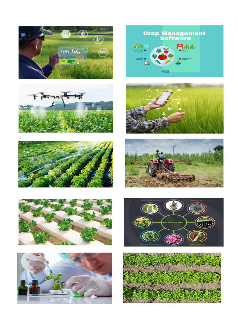 Crop Science | PDF