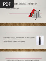 Anatomia e Fisiologia do Pelo | PDF | Pele | Cabelo
