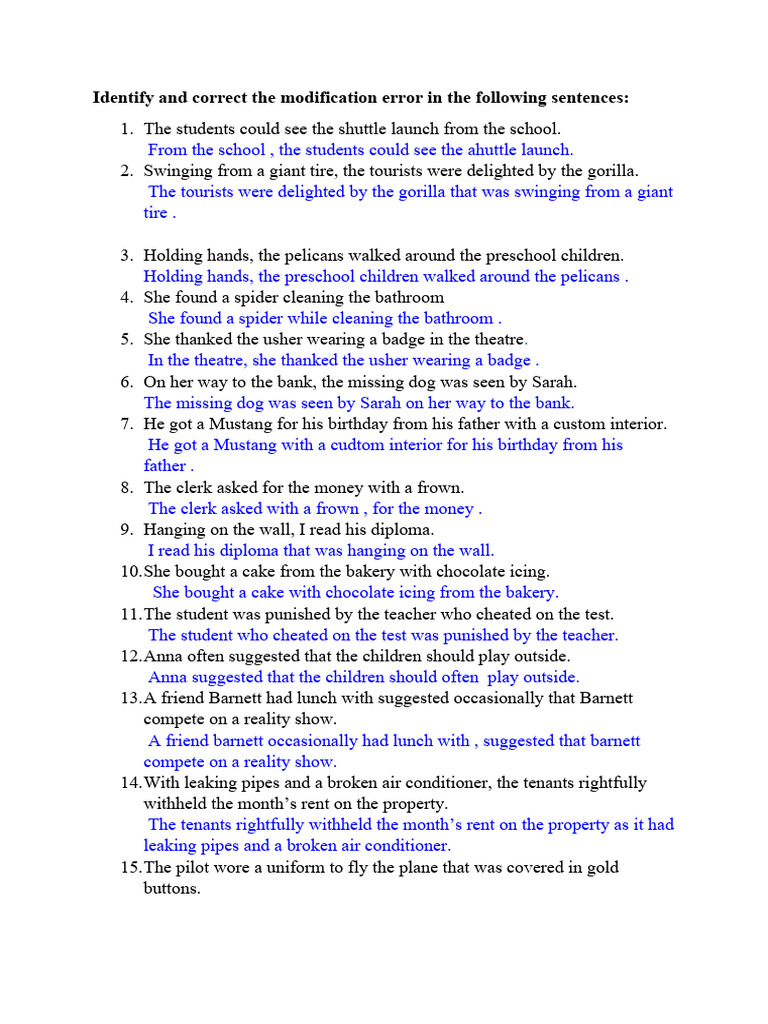 Correcting Sentence Modification Errors | PDF