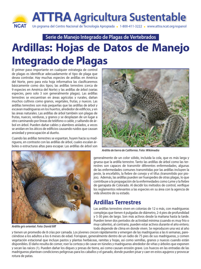Ardillas | PDF | Pesticida | Depredación