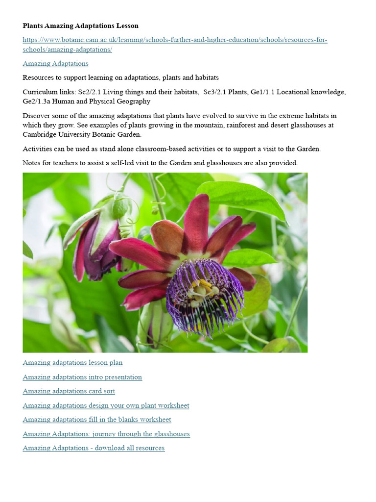 Plants Amazing Adaptations Lesson | PDF