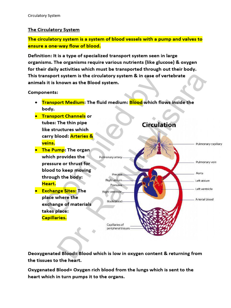 Ch-9 Transport in Animals | PDF | Atrium (Heart) | Ventricle (Heart)