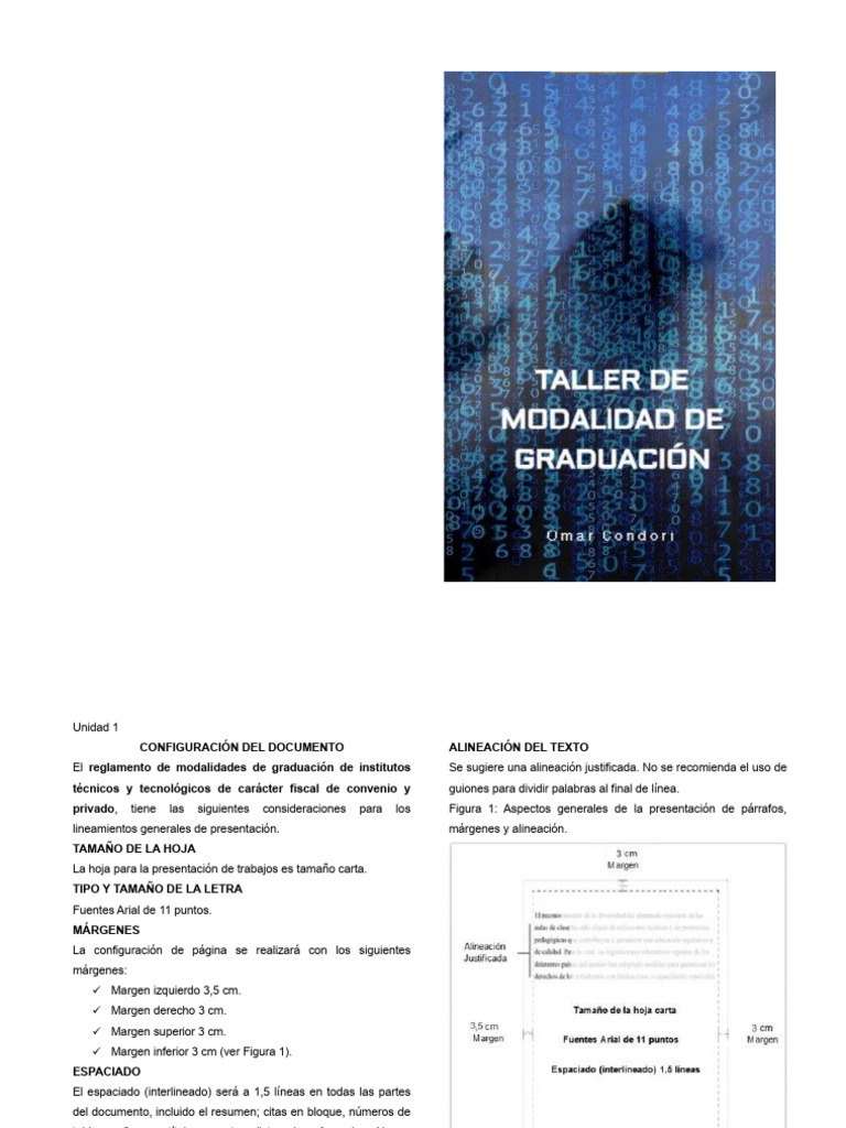 Manual para La Elaboración Del Perfil de Proyecto de Grado | PDF