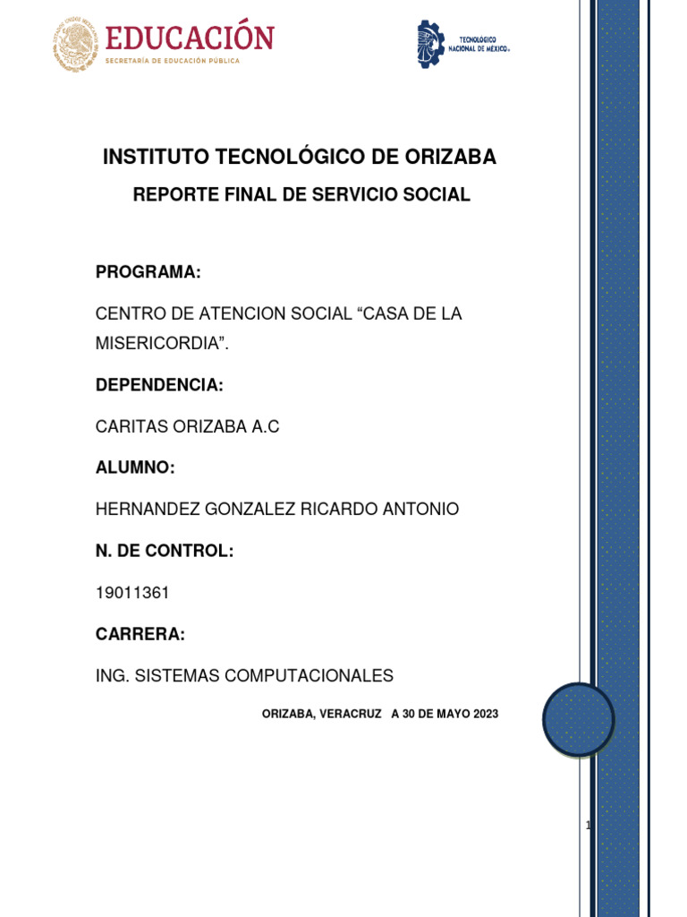 FORMATO-DE-REPORTE-FINAL | PDF | Gestión del tiempo | Habilidades profesionales