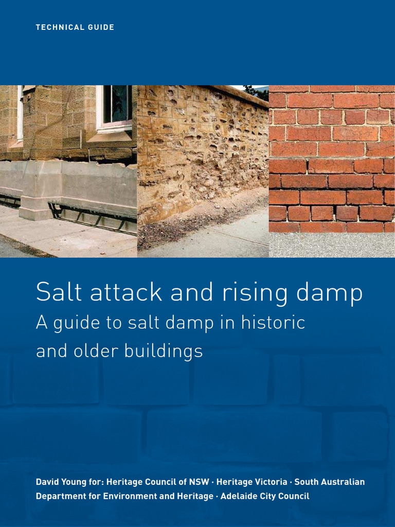 Salt Attack and Rising Damp | PDF | Sodium Chloride | Porosity