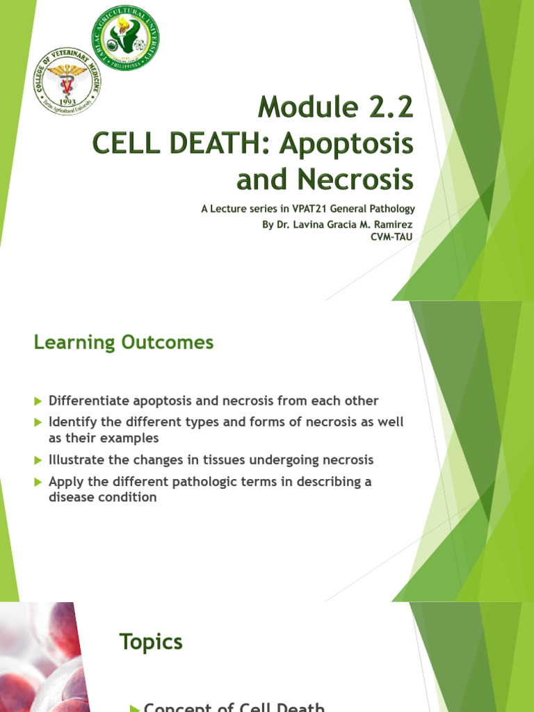 Module 2.2 - Cell Death | PDF | Apoptosis | Necrosis
