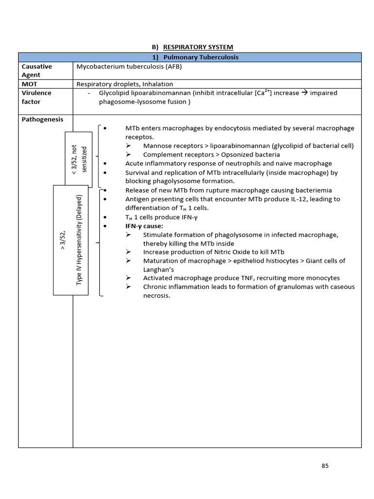 B. Respiratory System - V11 Completed - 1605 | PDF | Macrophage | Pneumonia