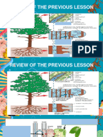 Animal Tissue Grade 10 Term 3 Notes Summaries | PDF