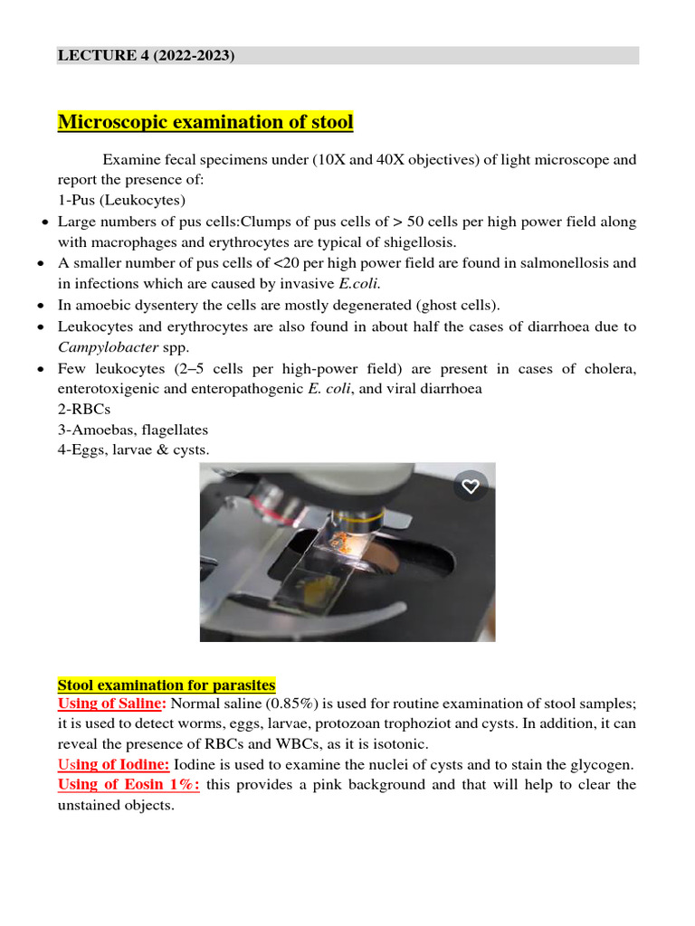 Microscopic Examination of Stool: LECTURE 4 (2022-2023) | Download Free ...