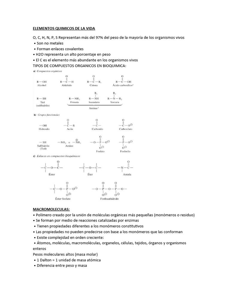 Resumen Elementos Quimicos de La Vida | PDF