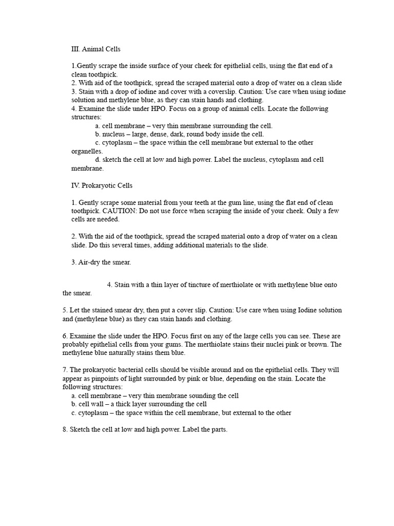 Animal Cell | PDF | Cell (Biology) | Staining