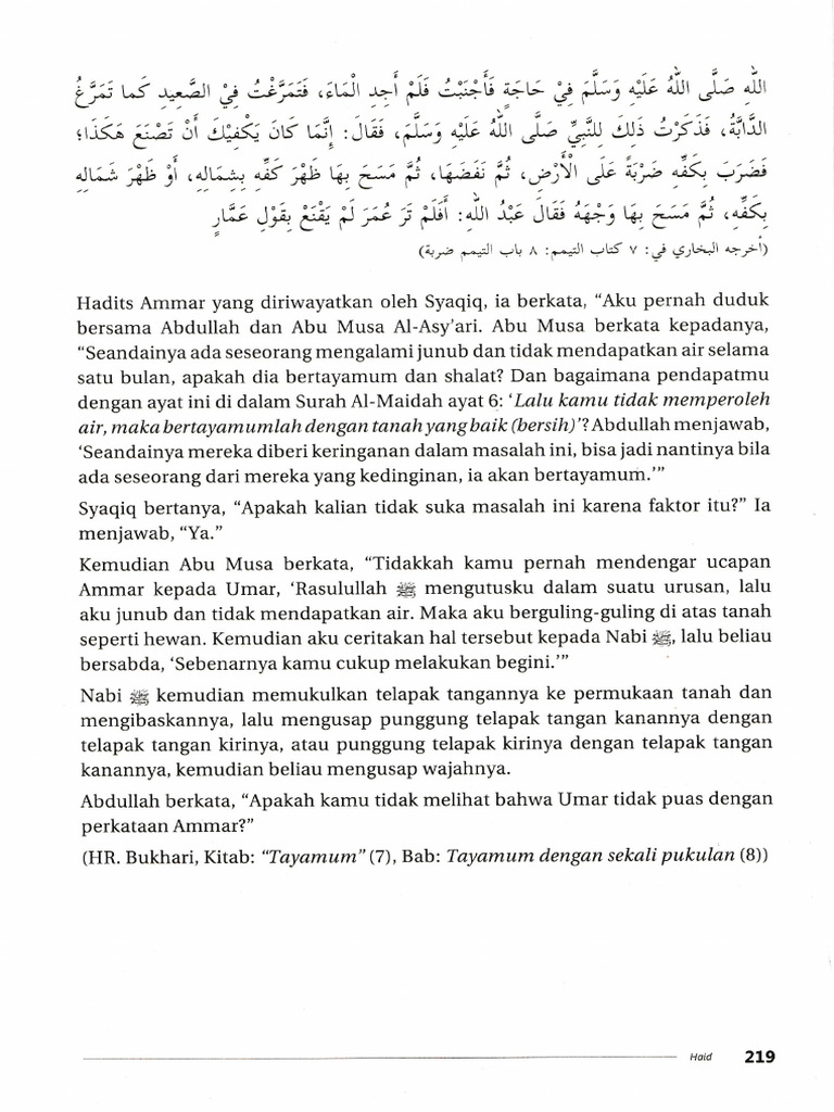 Allwm-04 (P219-268) 230922 | PDF