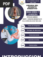 Abordaje Quirúrgico de La Resección Intestinal | PDF | Cirugía ...