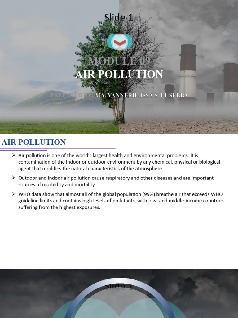 Environmental Science | PDF | Particulates | Air Pollution