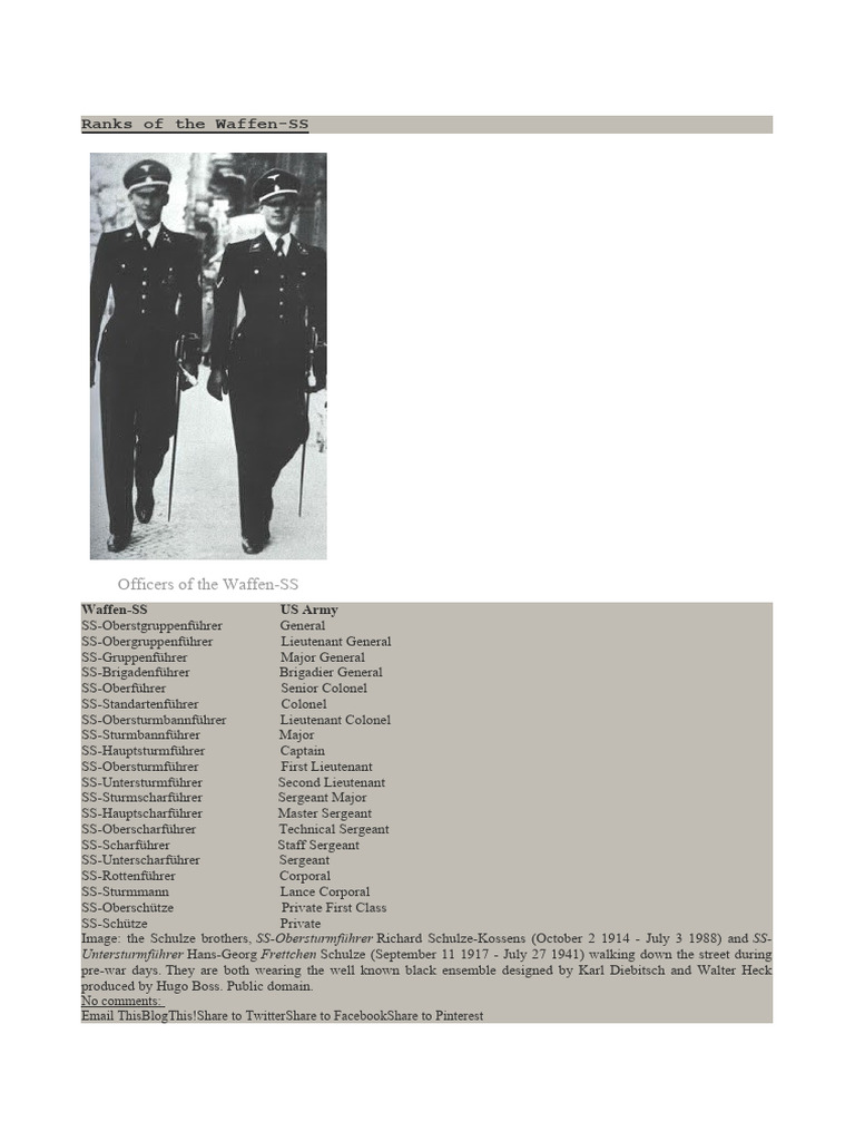 Waffen-SS Ranks and Insignia Guide | PDF | Nazi War Crimes | The Holocaust