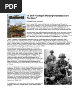 Waffen-SS Ranks and Insignia Guide | PDF | Nazi War Crimes | The Holocaust