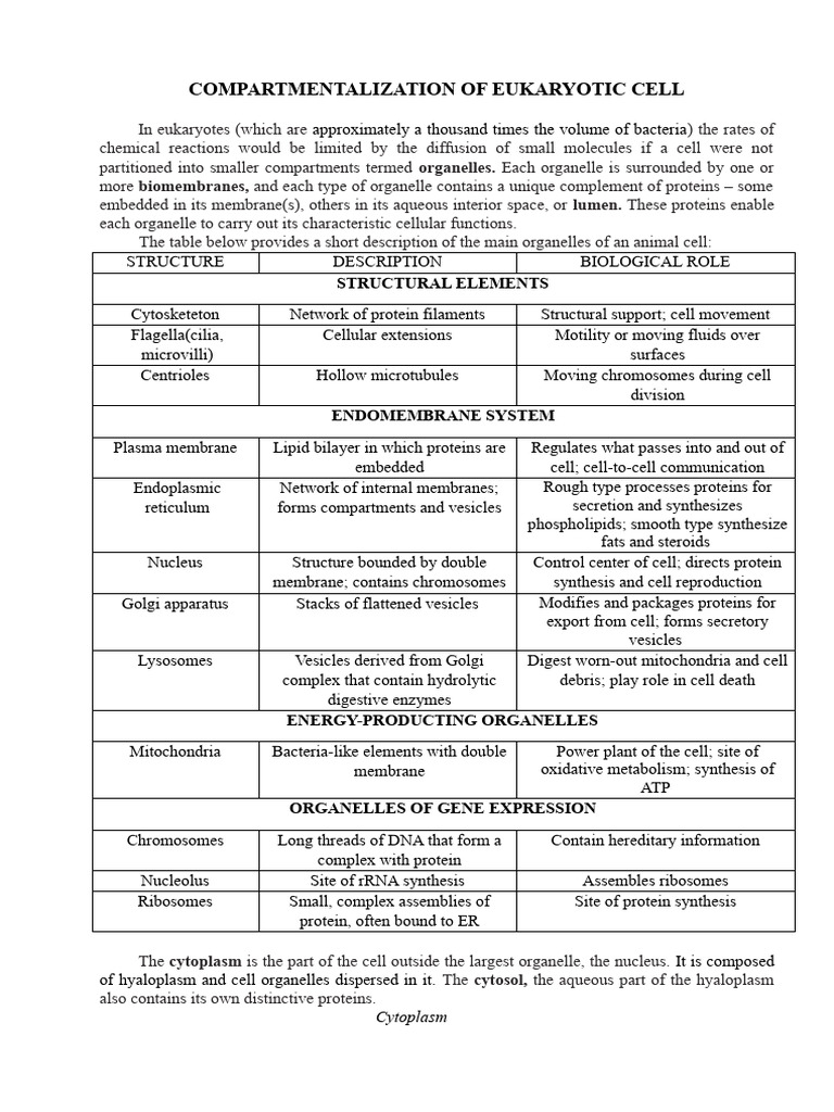 PL4 Cell Compartments | PDF | Endoplasmic Reticulum | Lysosome