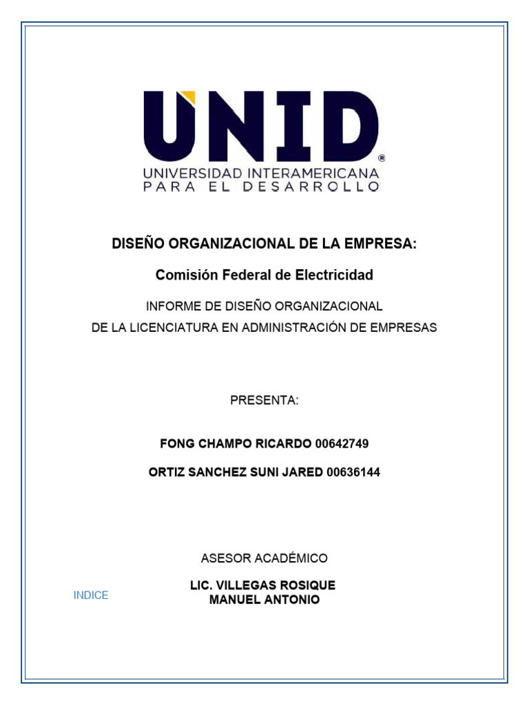 Diseño Organizacional Proyecto Unid | PDF | Economias