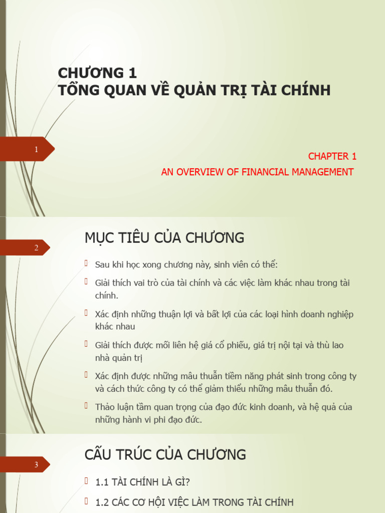Chapter1 OverviewFinancialManagement | PDF