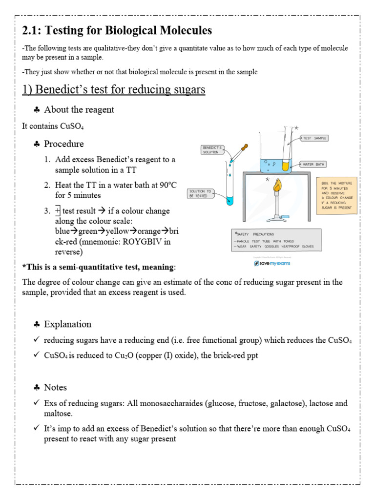 Qualitative Tests for Biological Molecules | PDF | Materials | Physical ...