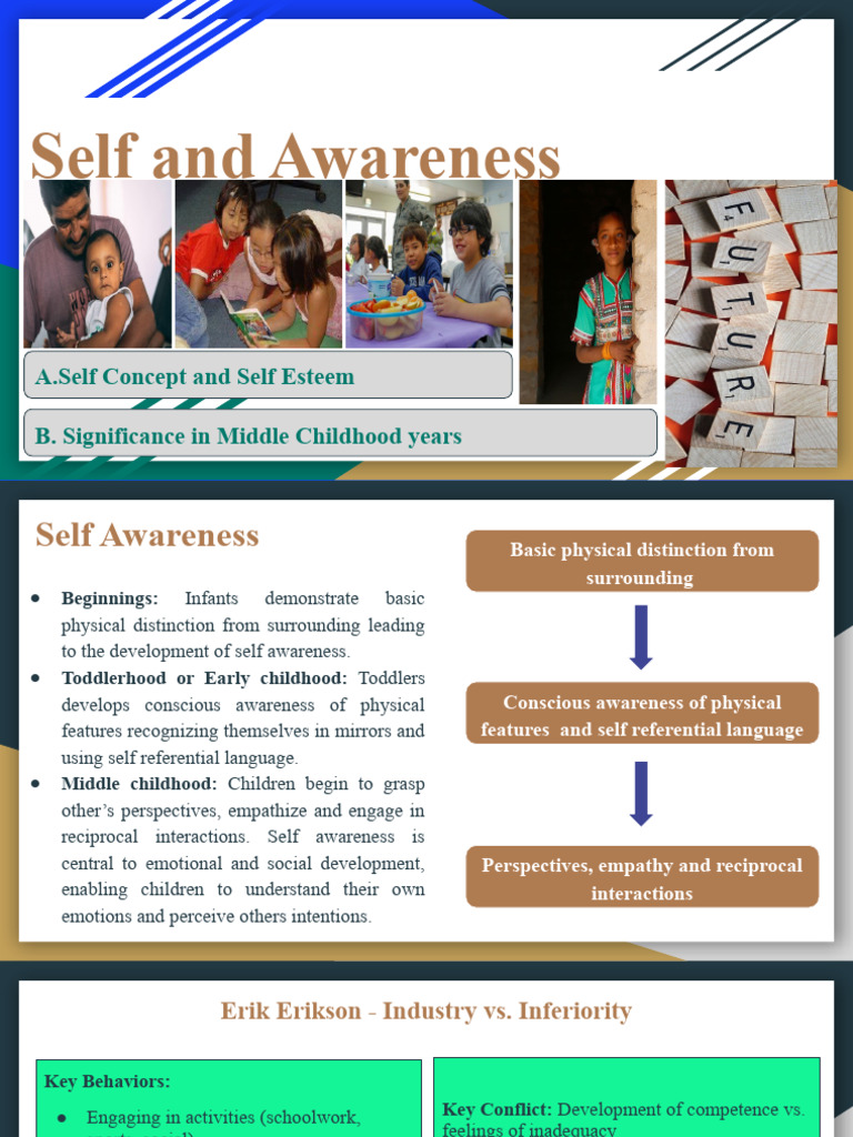 Self and Awareness | PDF | Self Concept | Id