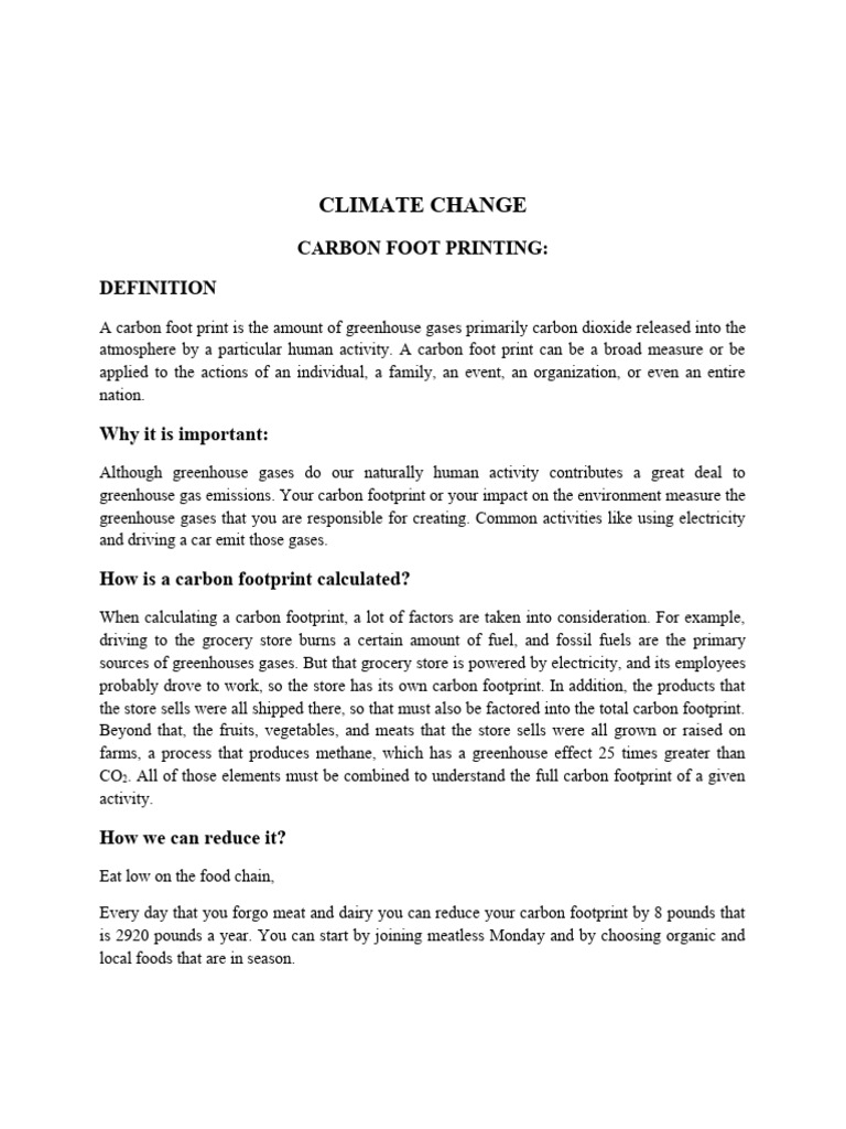 CLIMATE CHANGE FOOT PRINTING ASSIGNMENT | PDF | Climate Change | Carbon ...