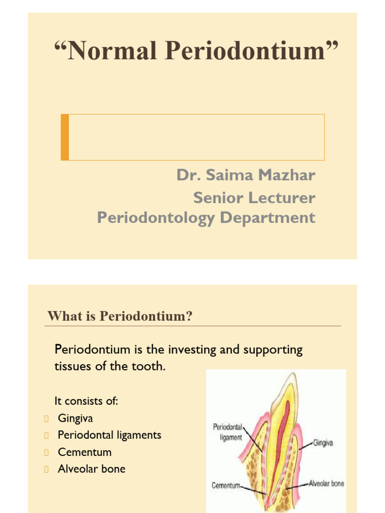Normal Periodontium PDF | PDF | Human Tooth | Bone