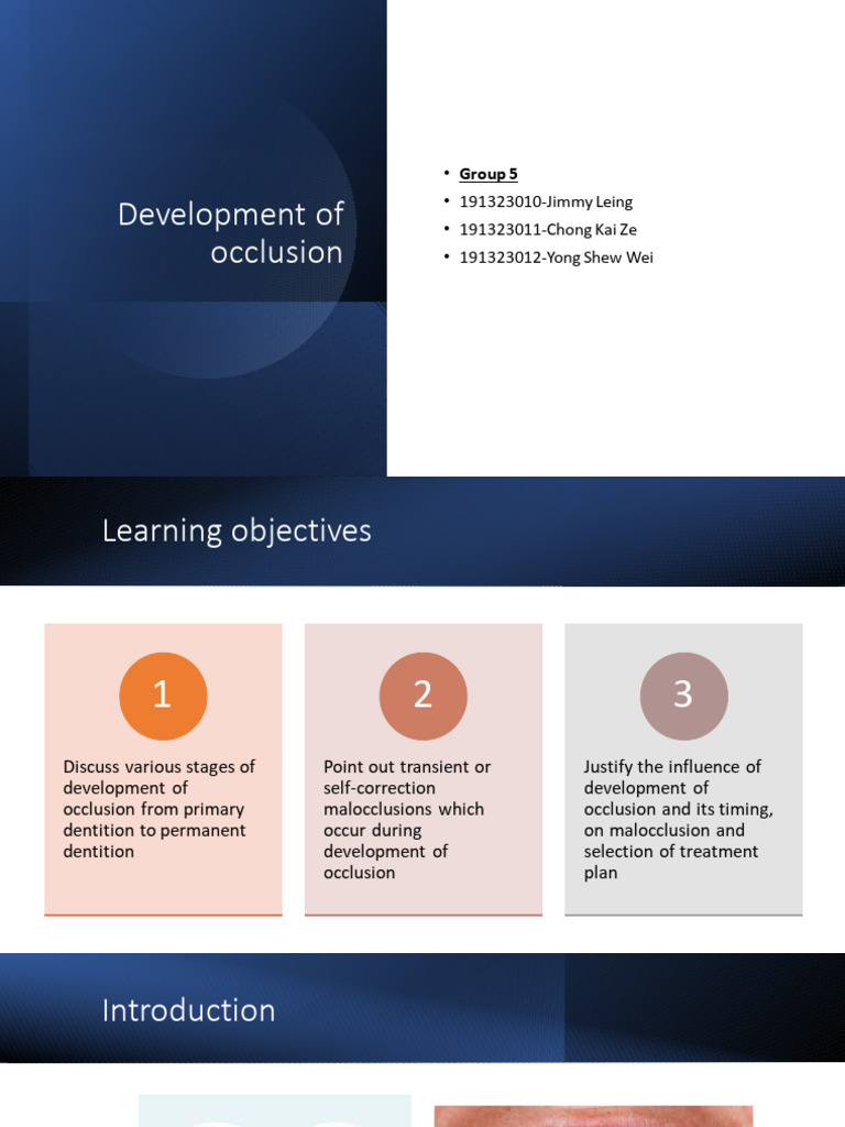 Development of Occlusion | PDF | Animal Anatomy | Dentistry