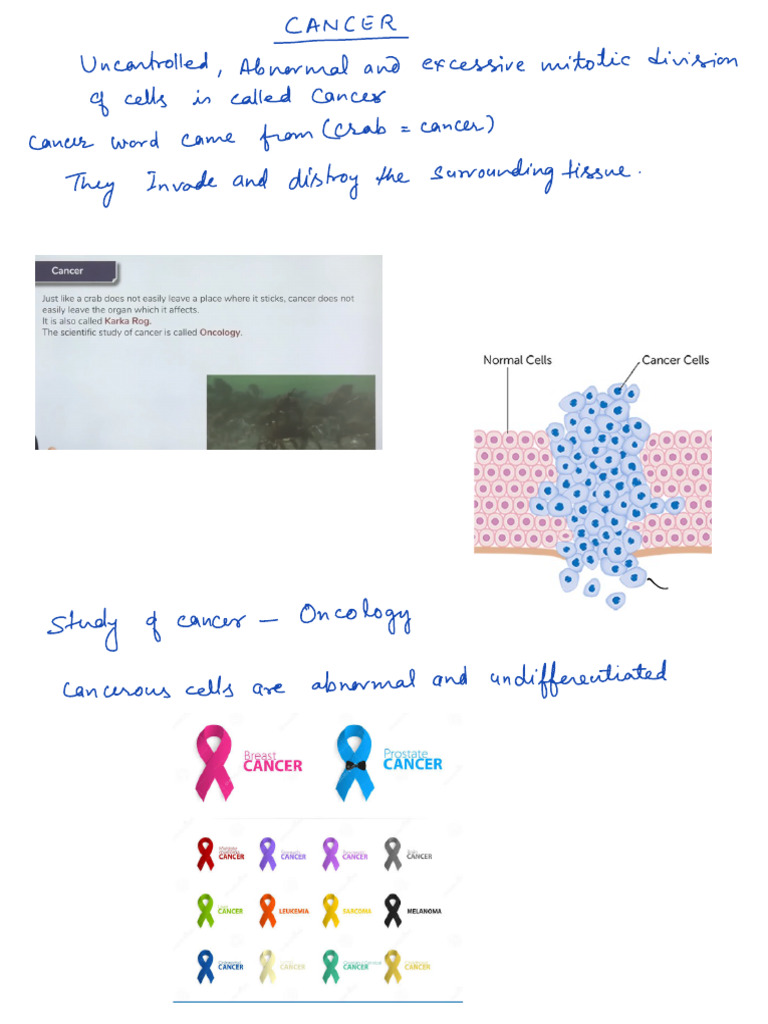 Cancer Pdf Cancer Cell Biology