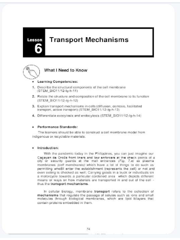 Structural Components of The Cell Membrane Module | PDF