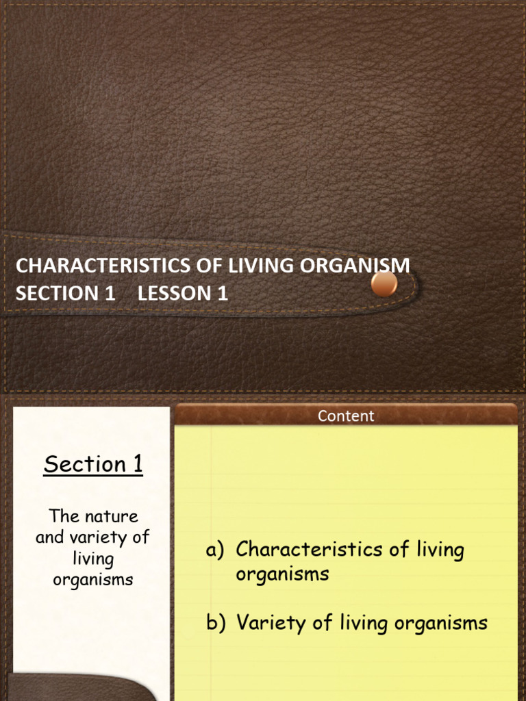 Biology VII Section 1 Lesson 1 Characterisitcs of Living Things | PDF ...