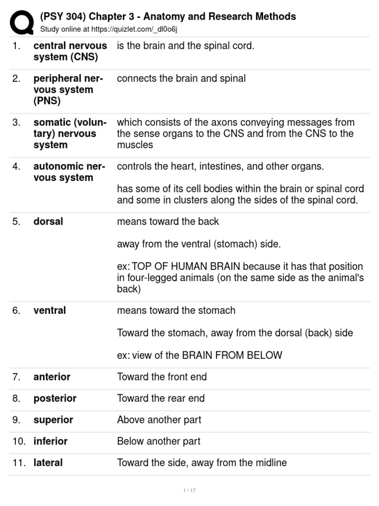 Nervous System Anatomy Overview | PDF | Cerebral Cortex | Spinal Cord