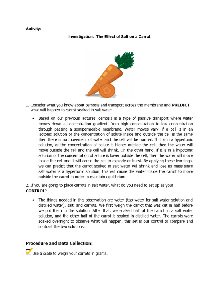 Carrot Osmosis Experiment Results | PDF | Osmosis | Cell Biology