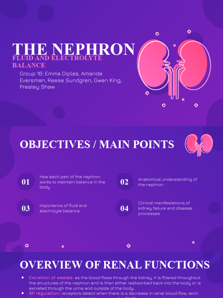 Patho Slides | PDF | Kidney | Organ (Anatomy)