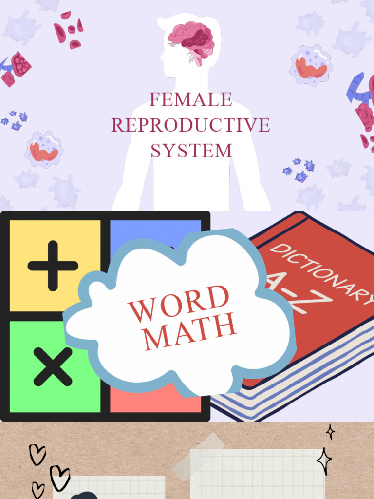 Female Reproductive System Pdf