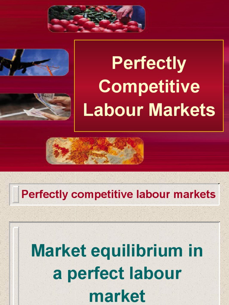 Perfectly Competitive Labour Markets | PDF | Labour Economics | Perfect ...