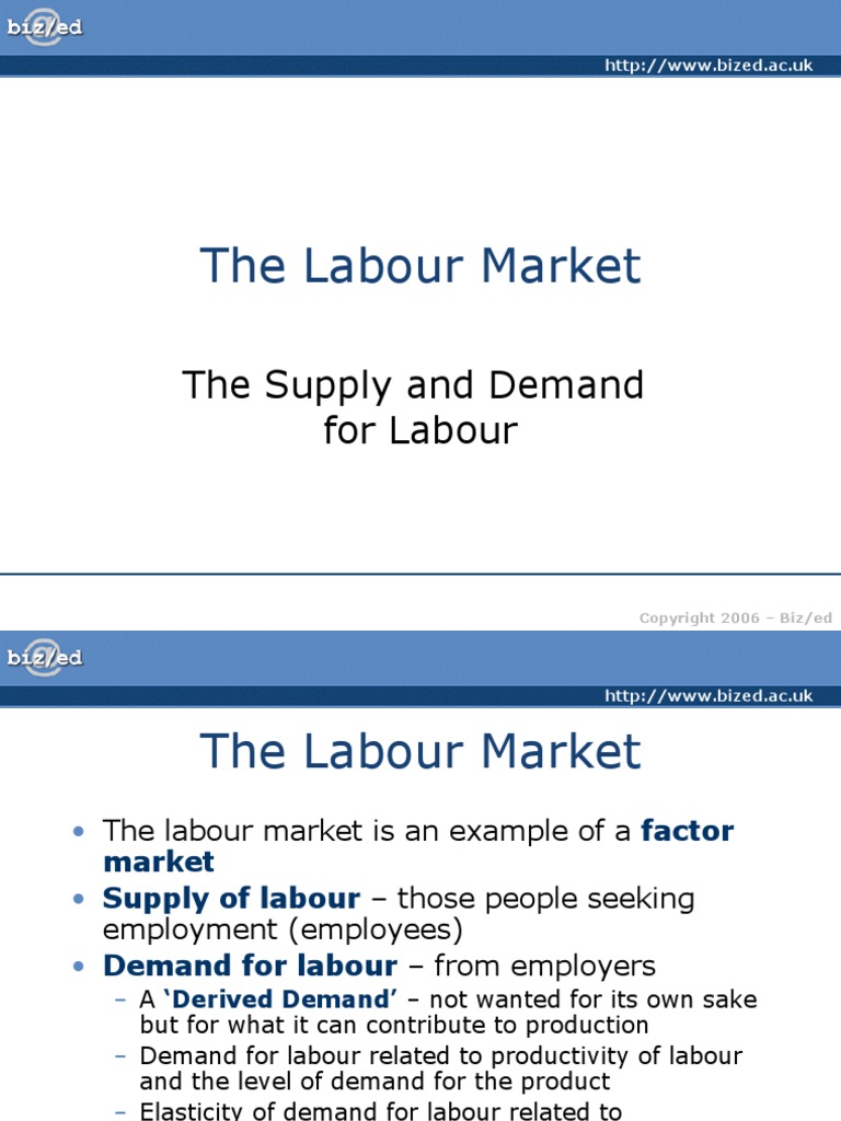 The Labour Market Supply and Demand | PDF | Labour Economics | Demand