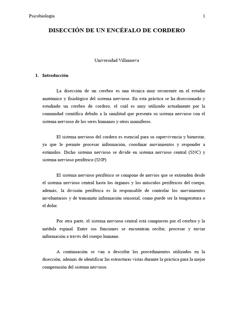 Modelo diario de práctica disección encéfalo de cordero | PDF | Sistema nervioso | Cerebro