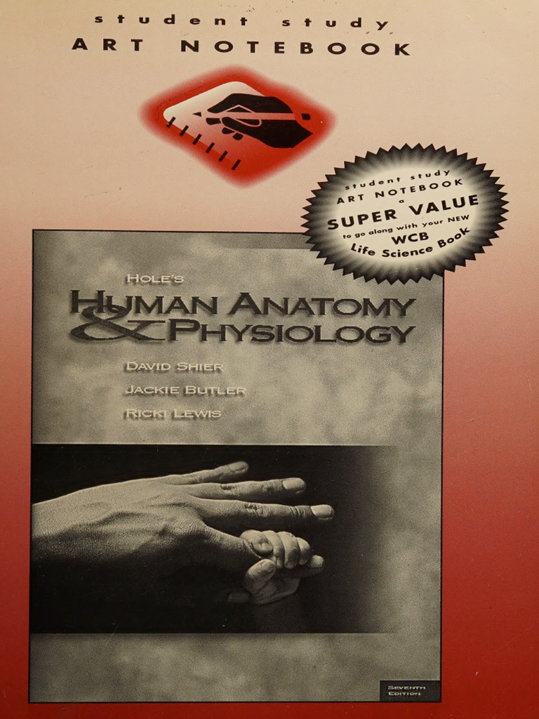 Student Study Art Notebook, Holes Human Anatomy and Physiology | PDF ...