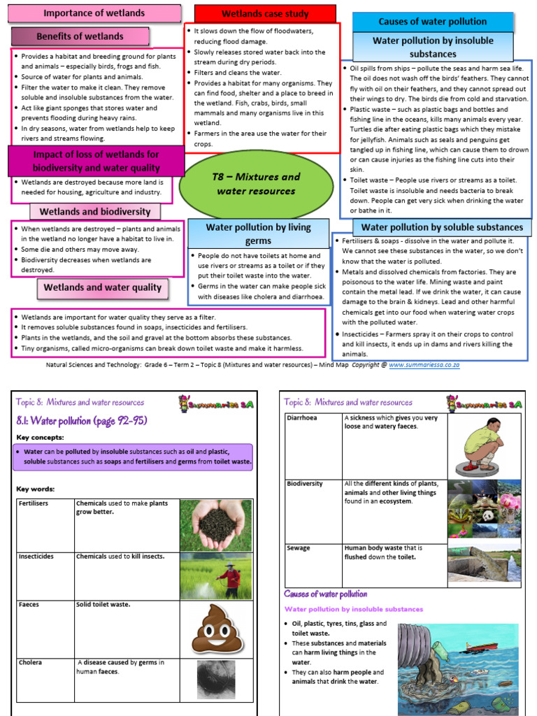 GR6-NST-PLAT-T8-Mixtures and Water Resources-T2 | PDF | Wetland | Water