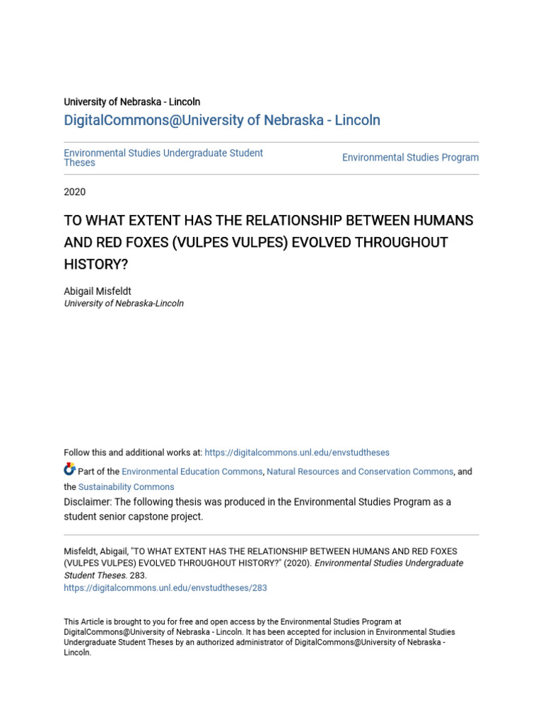 To What Extent Has The Relationship Between Humans and Red Foxes | PDF | Fox Hunting | Fur Trade