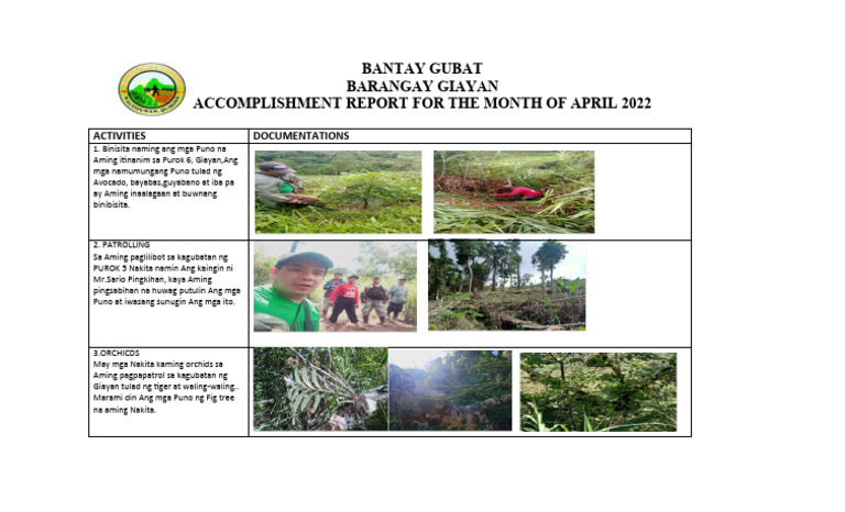 Bantay Gubat Accomplishment Report | PDF