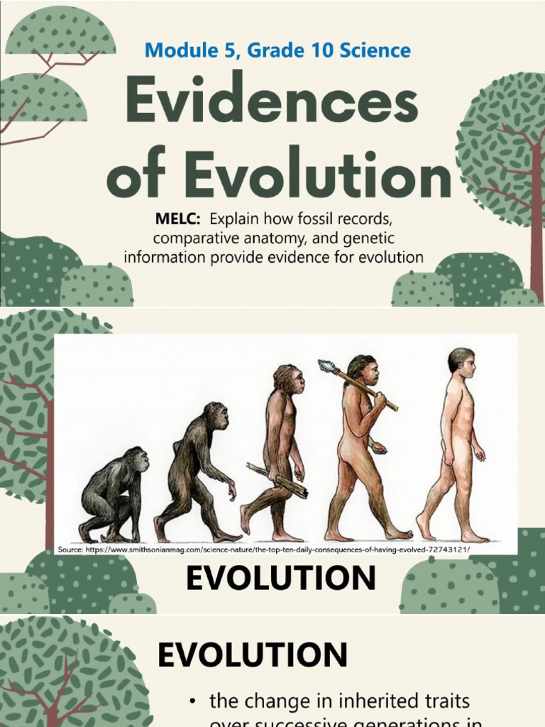 Evidences of Evolution | PDF