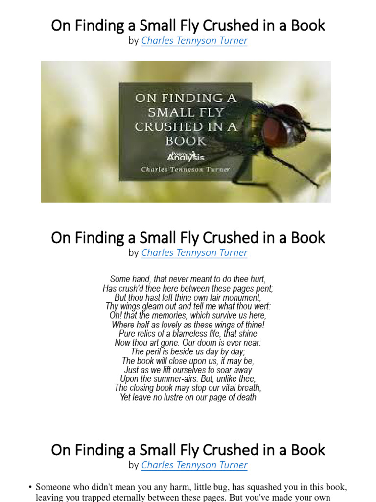 Analysis of Tennyson Turner's Fly Poem | PDF | Poetry