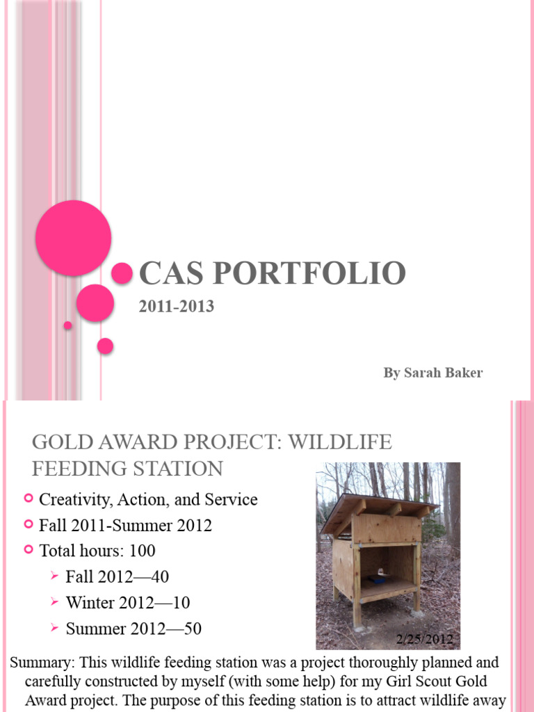 Sample CAS Portfolio | PDF | Career & Growth | Self-Improvement
