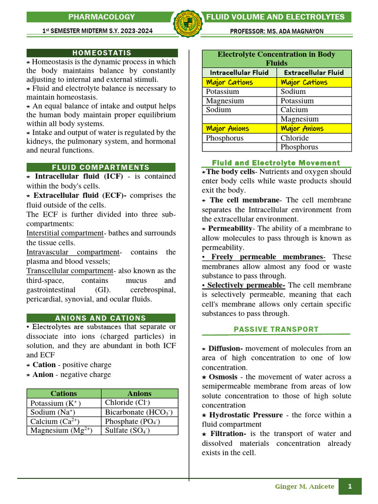 Fluid and Electrolyte Balance Overview | PDF | Intravenous Therapy ...